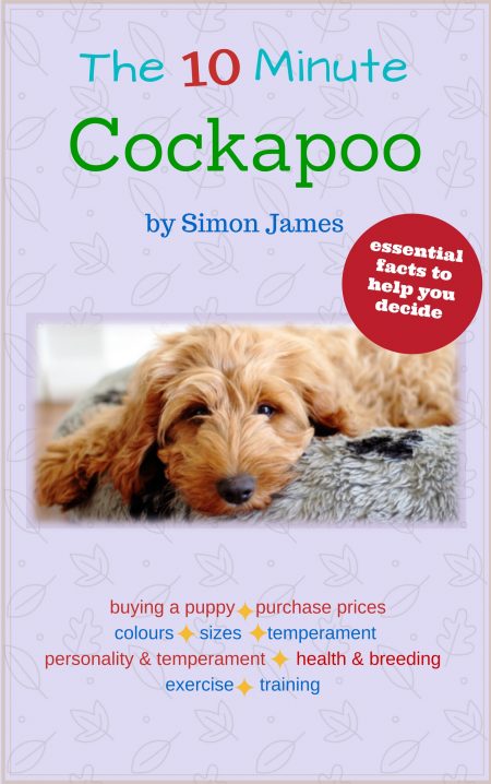 Cockapoo Rescue Pages: 5 Point Plan – Cockapoo For Life
