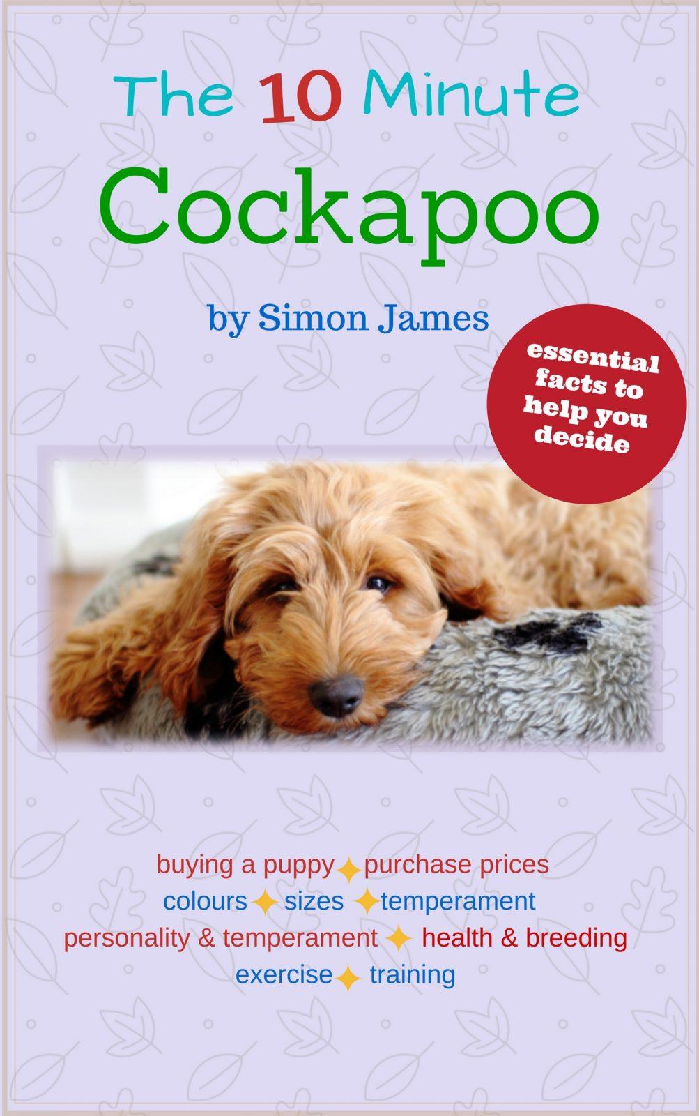 What Is The Average Life Expectancy Of A Cockapoo | Cockapoo For Life